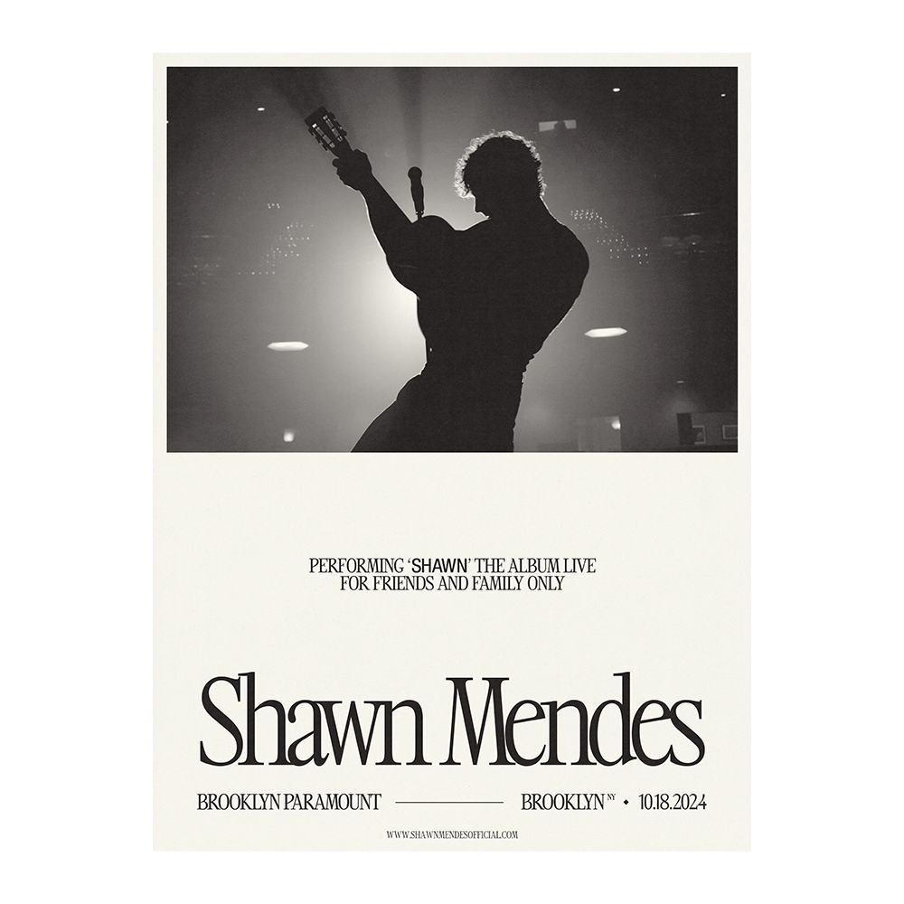 Friends & Family Poster: Brooklyn - Shawn Mendes | Official Store