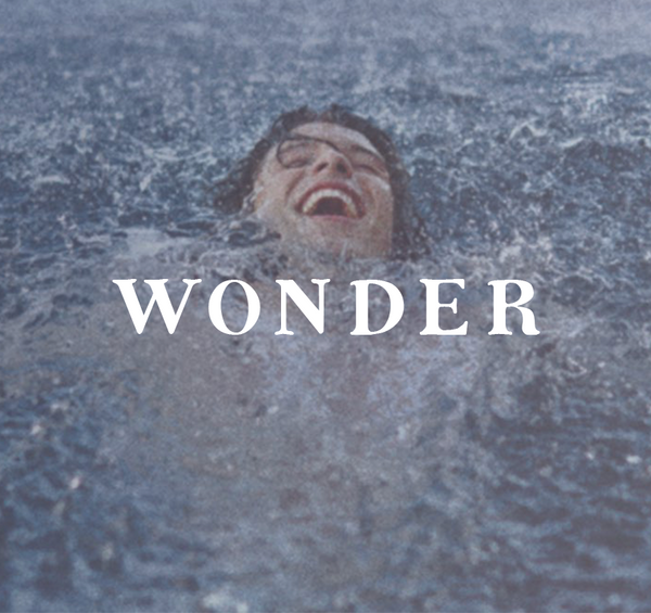 Wonder Anniversary - Shawn Mendes | Official Store