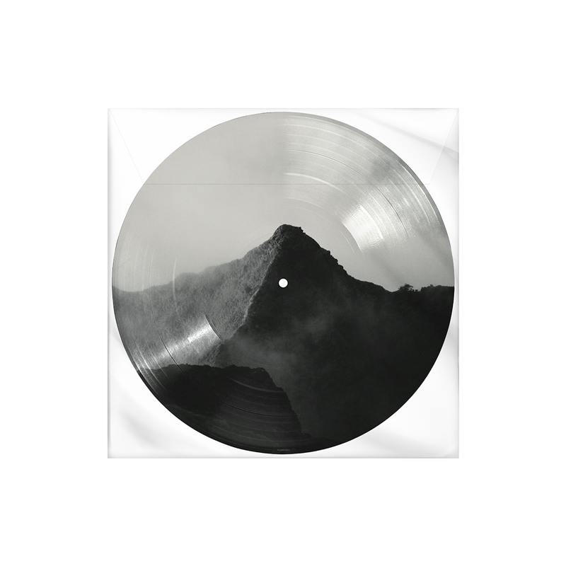 Shawn Picture Disc - Shawn Mendes | Official Store